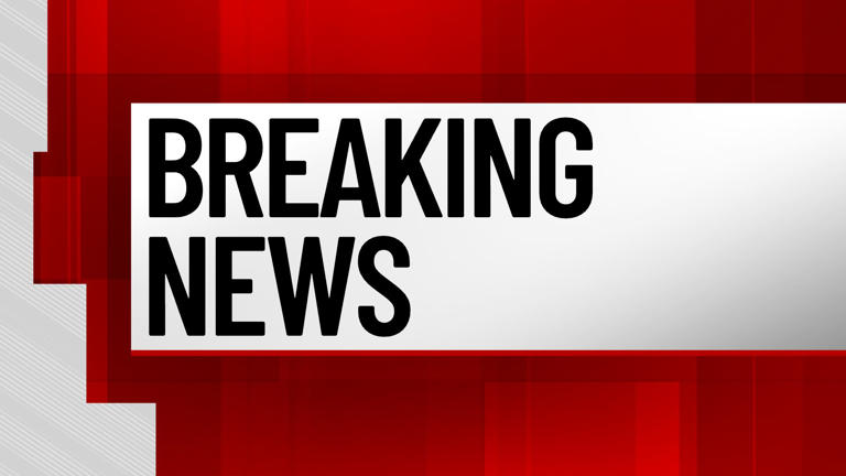 Three elementary students drown in Bonham accident