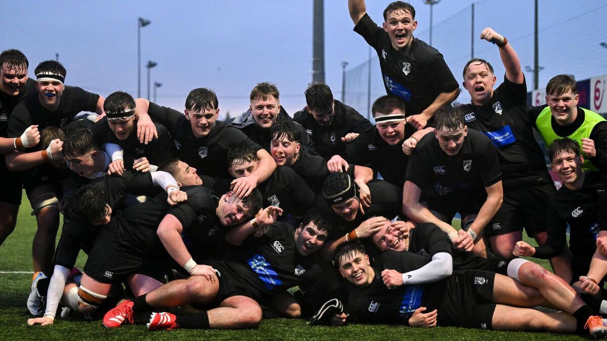 Cistercian College Roscrea stun Belvedere College in Leinster Rugby ...