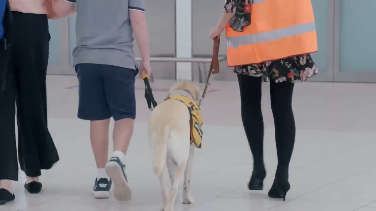 What happens when an autistic boy faces an airport and a calm dog steps in