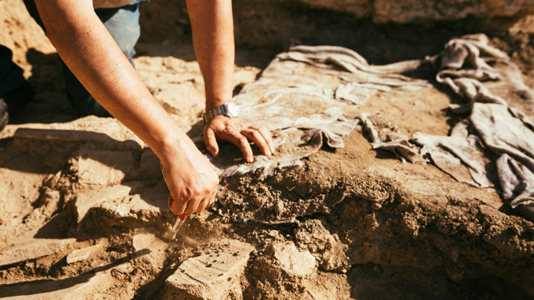 Scientists find 430,000-year-old wooden tools in Greece