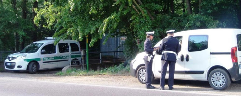Cavallo in fuga nel parco delle Groane: si mobilitano i soccorsi, poi ...