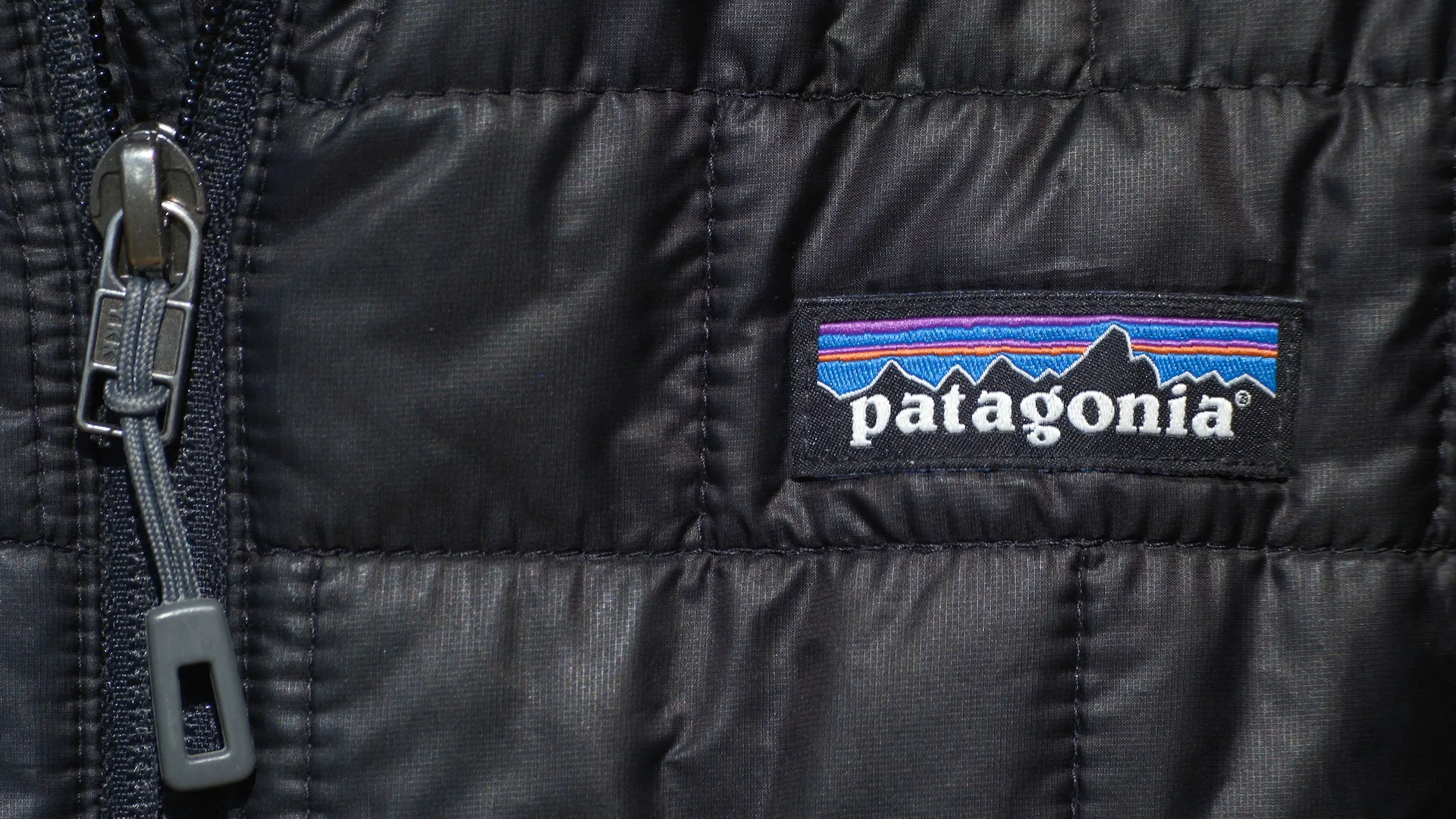 Patagonia’s $1 lawsuit against an activist looks petty. It’s complicated
