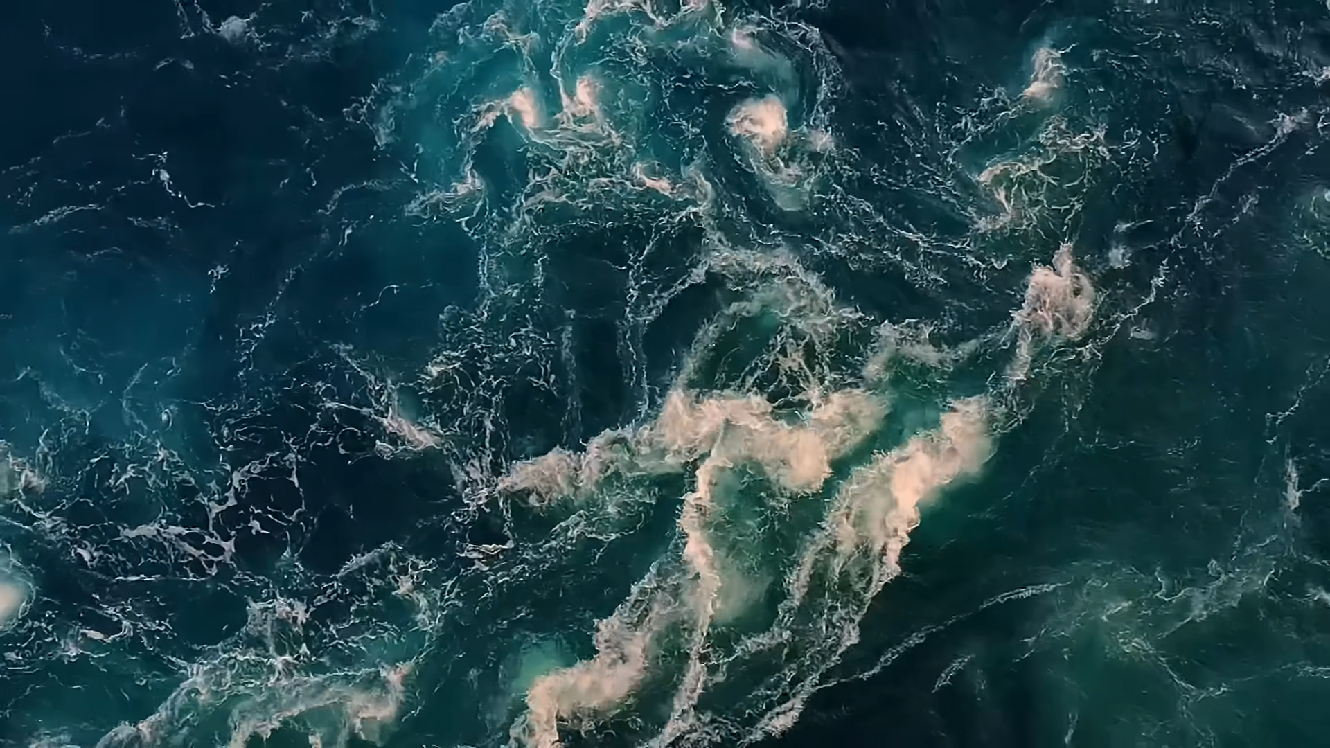 900 sailors floated for days - sharks circled the whole time