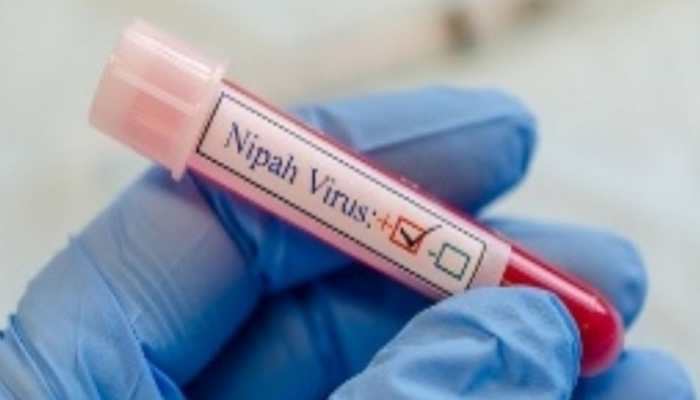 Nipah virus infections reported in India: Expert says no vaccine yet ...