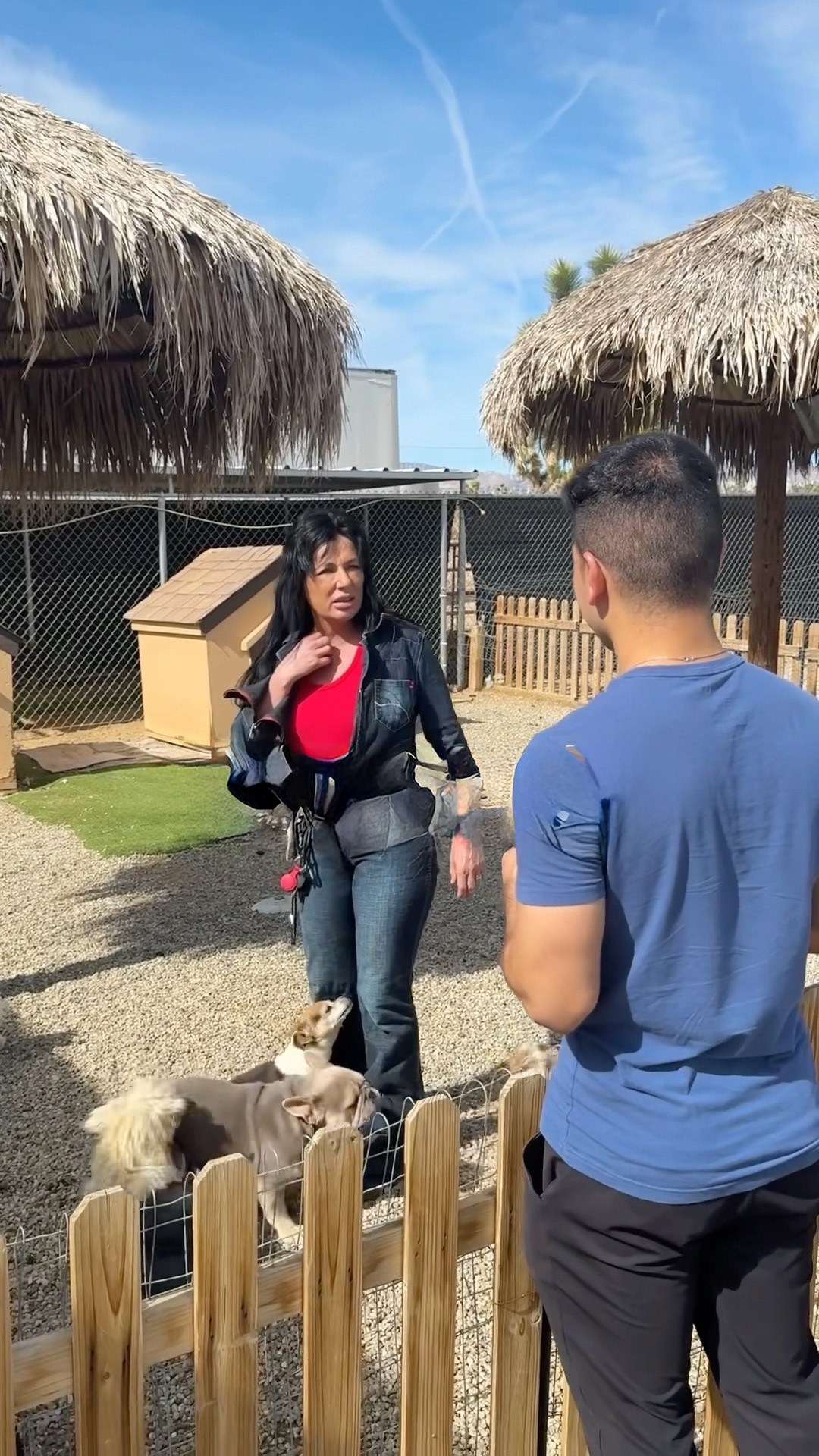 Giving a disabled dog a special day