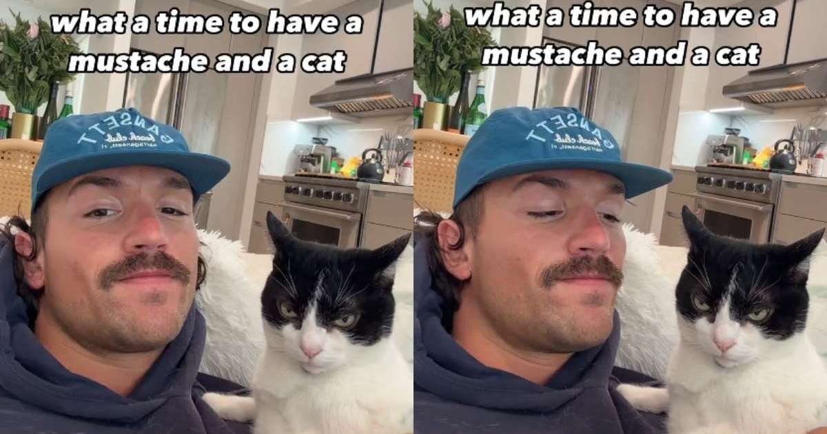 Video: Cat stays incredibly still while posing with dad