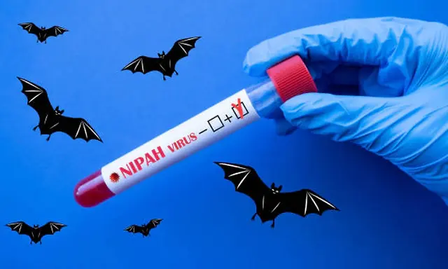 Kozhikode: Deadly Nipah virus sparks high alert in Kerala as ...