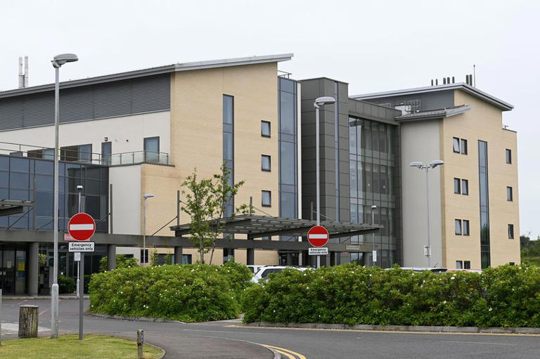 Storm Chandra: Woman taken to hospital after tree falls on car in Co ...