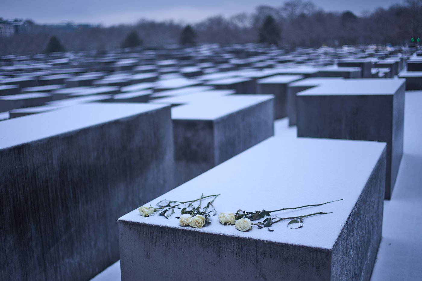 World pauses to commemorate International Holocaust Remembrance Day