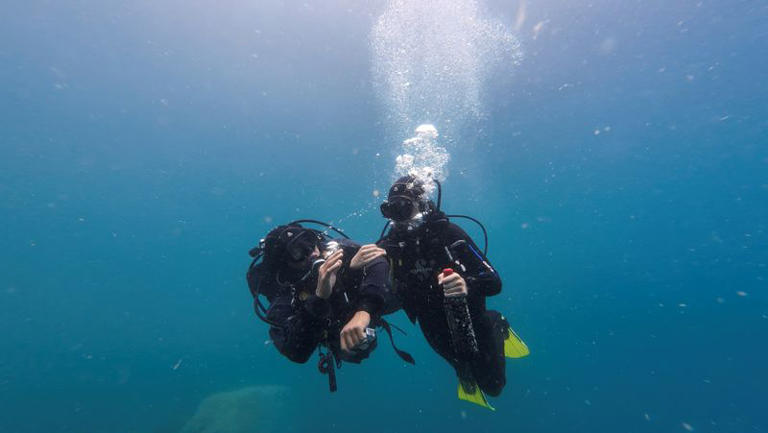 Under the sea: Chilean company ages wines in underwater cellars