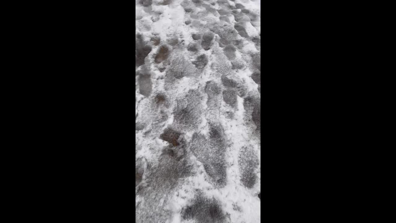 Kind pedestrian helps wheelchair user stuck in snow in Japan