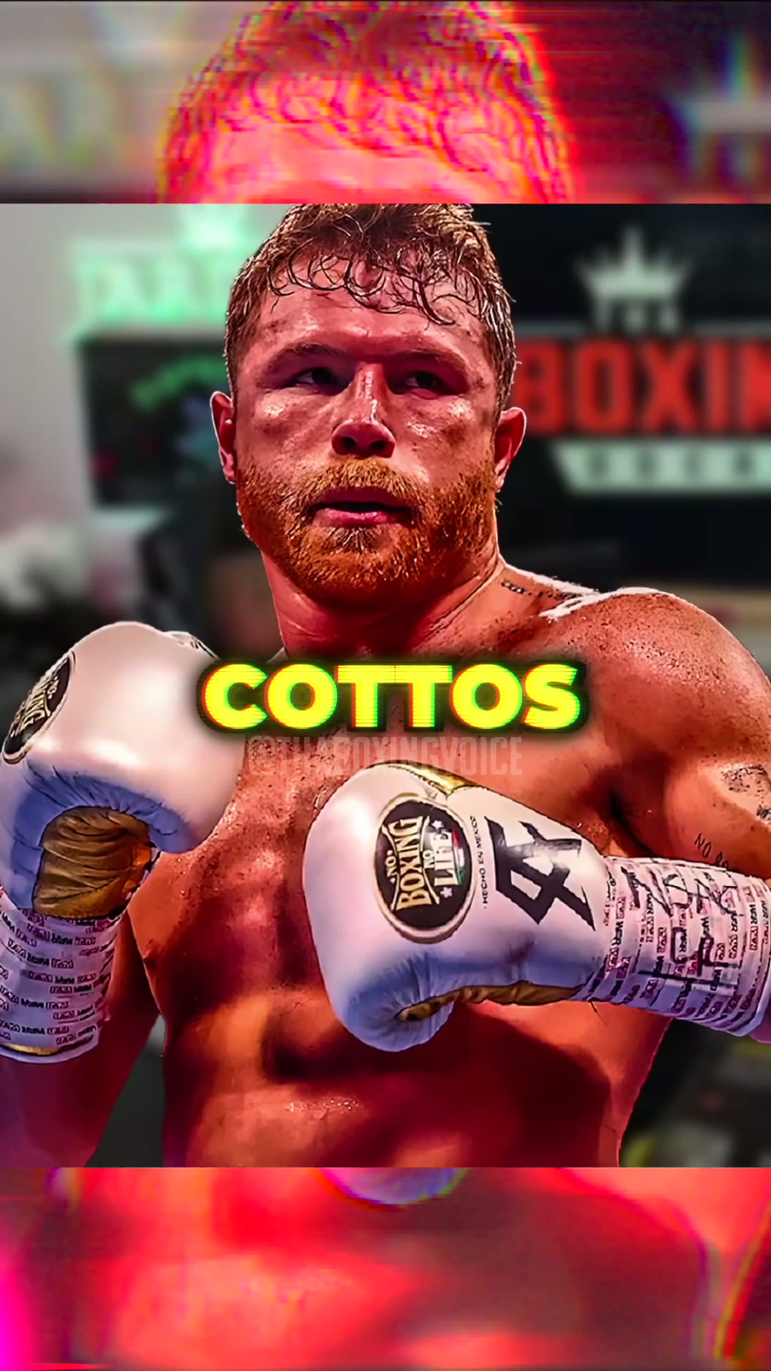 Shane Jr: "You get a Canelo call, you don't hang up". Do you have any ...