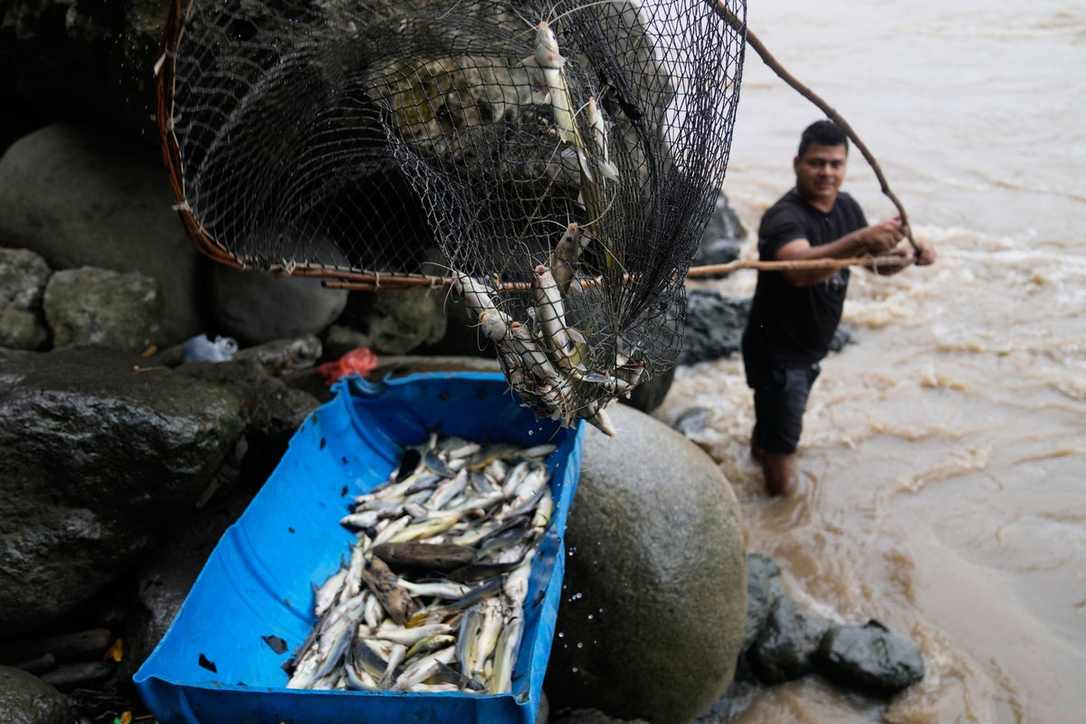 «Subienda», la migración de peces que pescadores artesanales ...