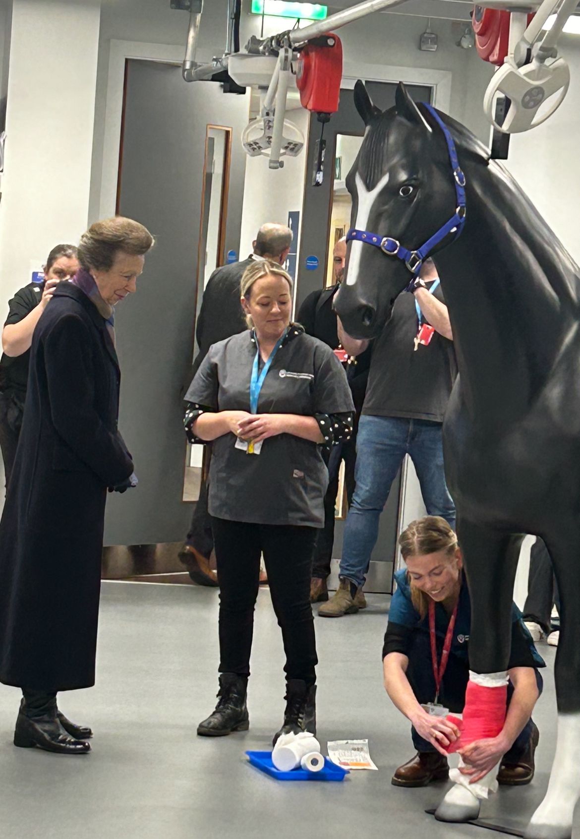 HRH Princess Anne pays University of Lancashire veterinary students a visit