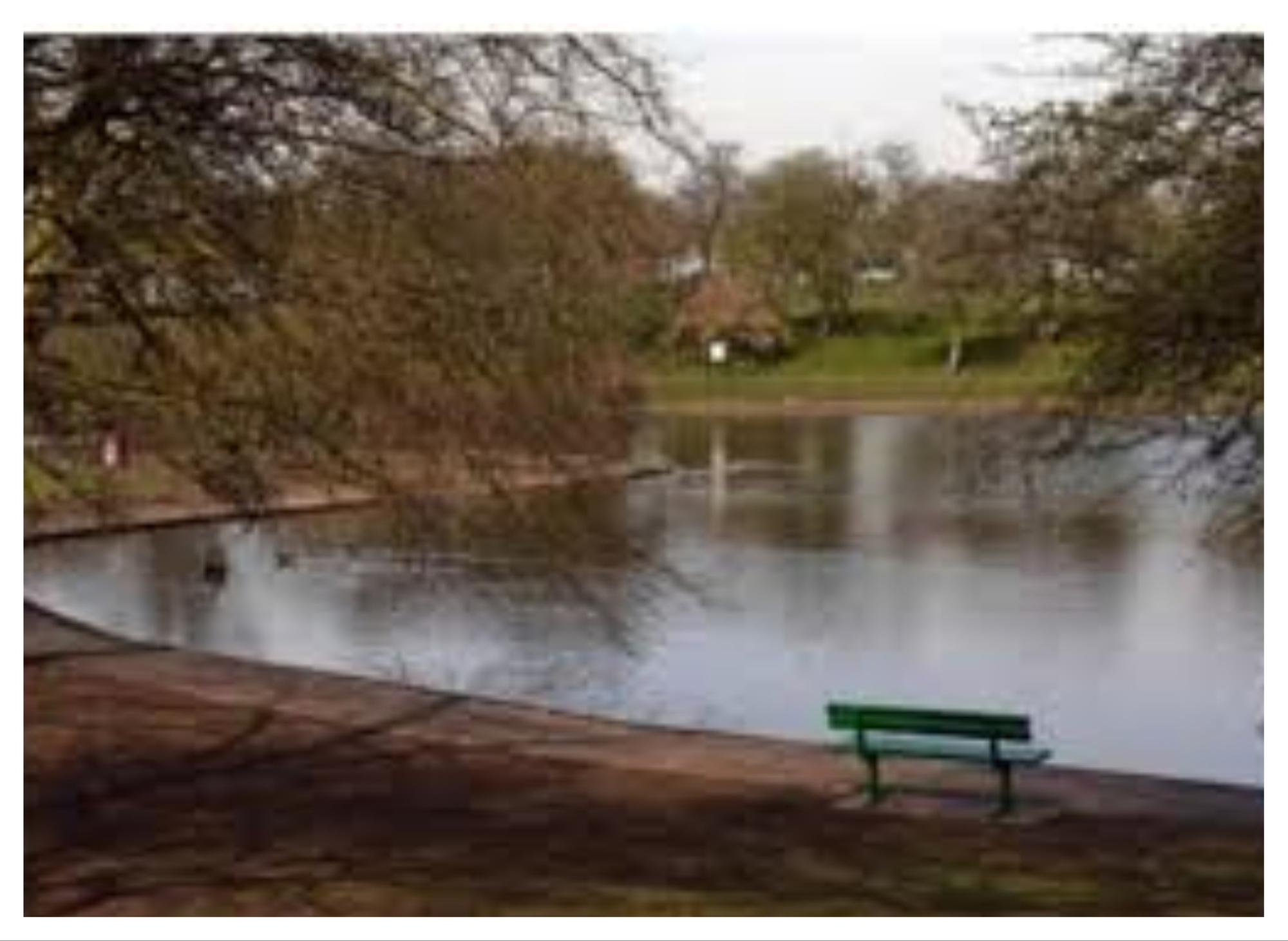 New volunteer team takes up reins at popular Doncaster park