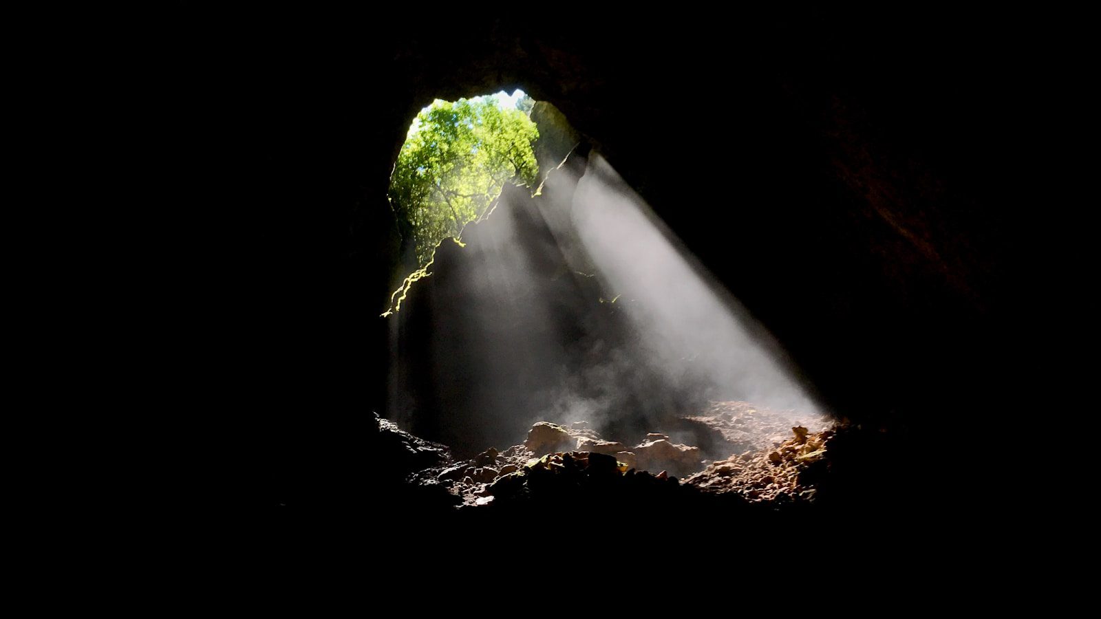 Family discovered living deep inside remote forest cave