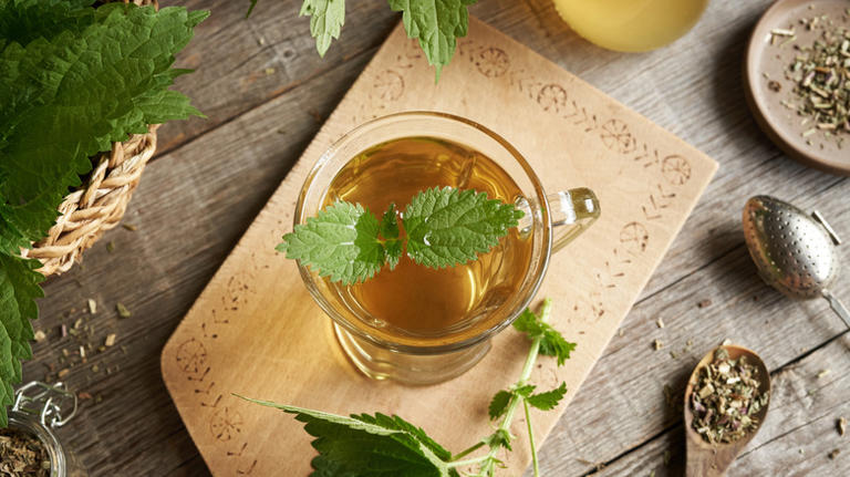 The skin-irritating weed that's packed with more calcium than milk