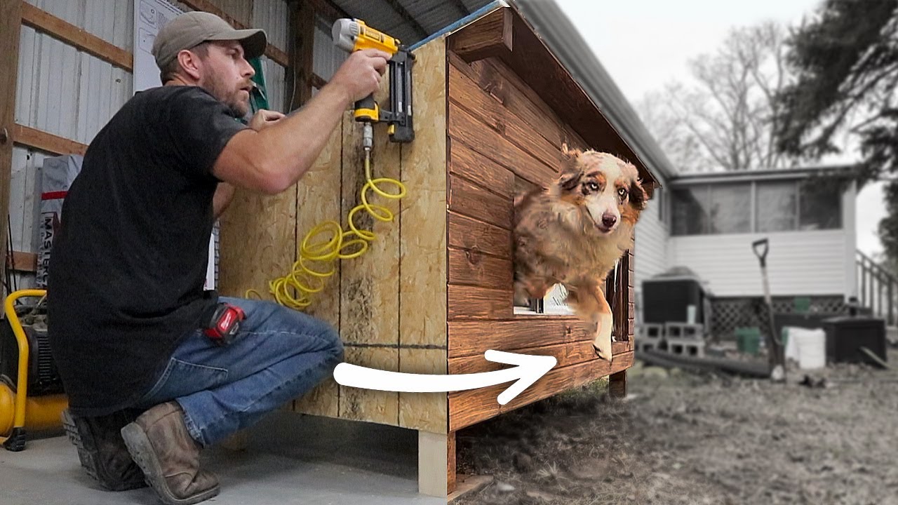 We built the ultimate dog house in 48 hours