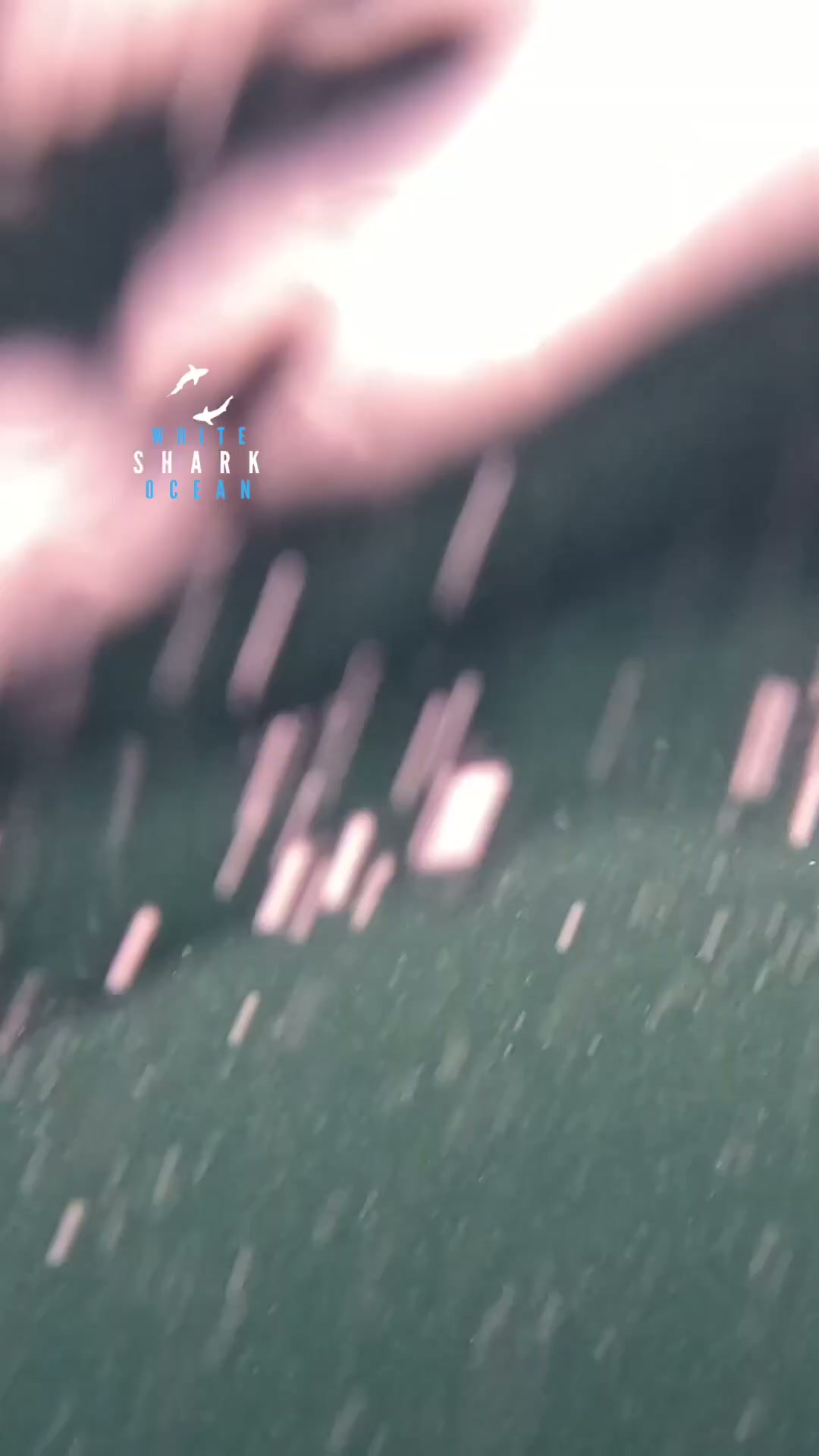 Sardine run 2024 day one off to a flyer