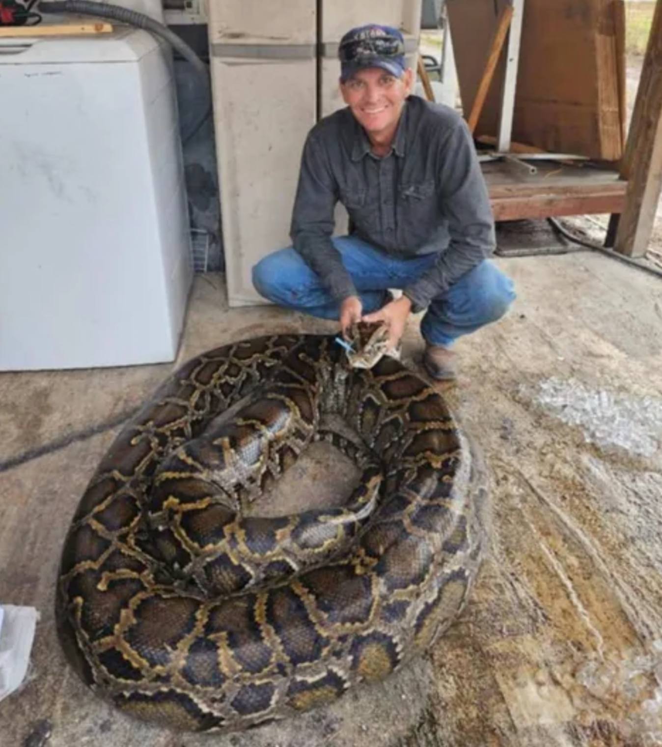 Python drags hunter 15 feet over ant hill; 'like riding a slow horse'