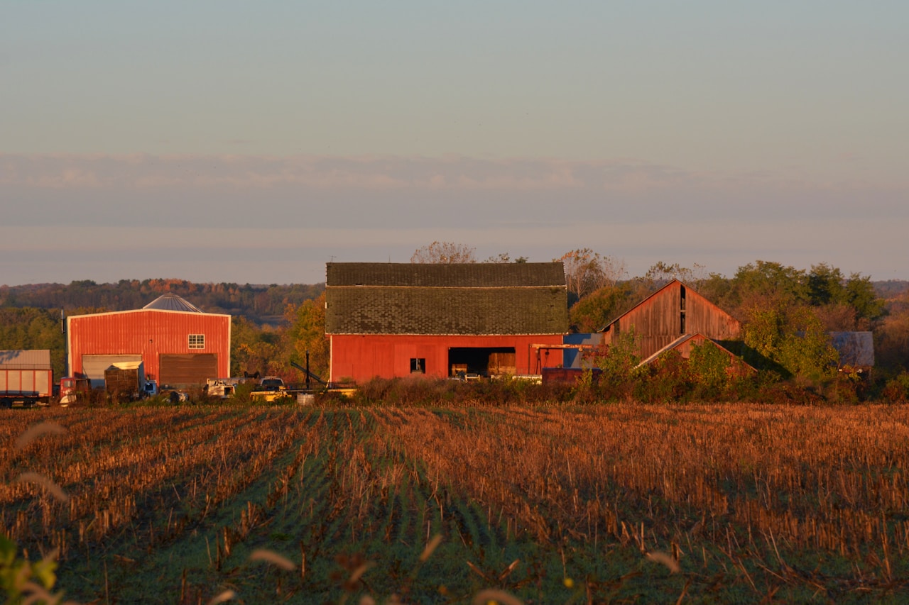 Why most people regret moving to the Villages: 5 truths no one tells you
