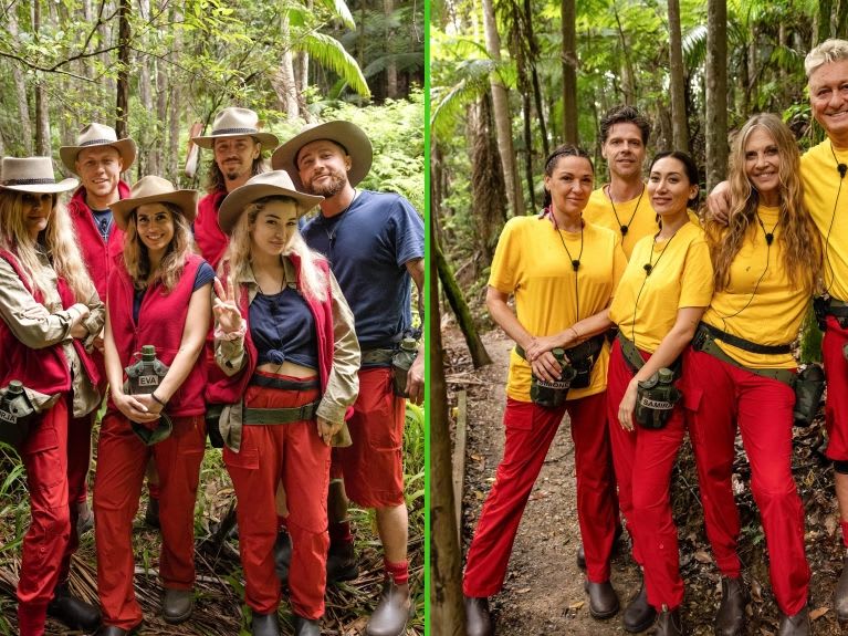 Dschungelcamp 2026: Wirbel um geheime Nachricht - plante Ariel eine ...