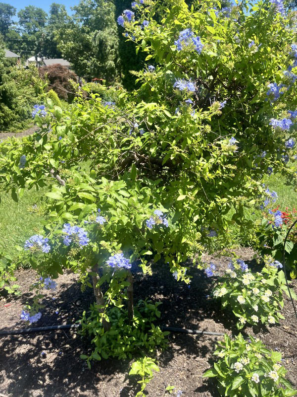 One of my favorite PA small towns is perfect in every season