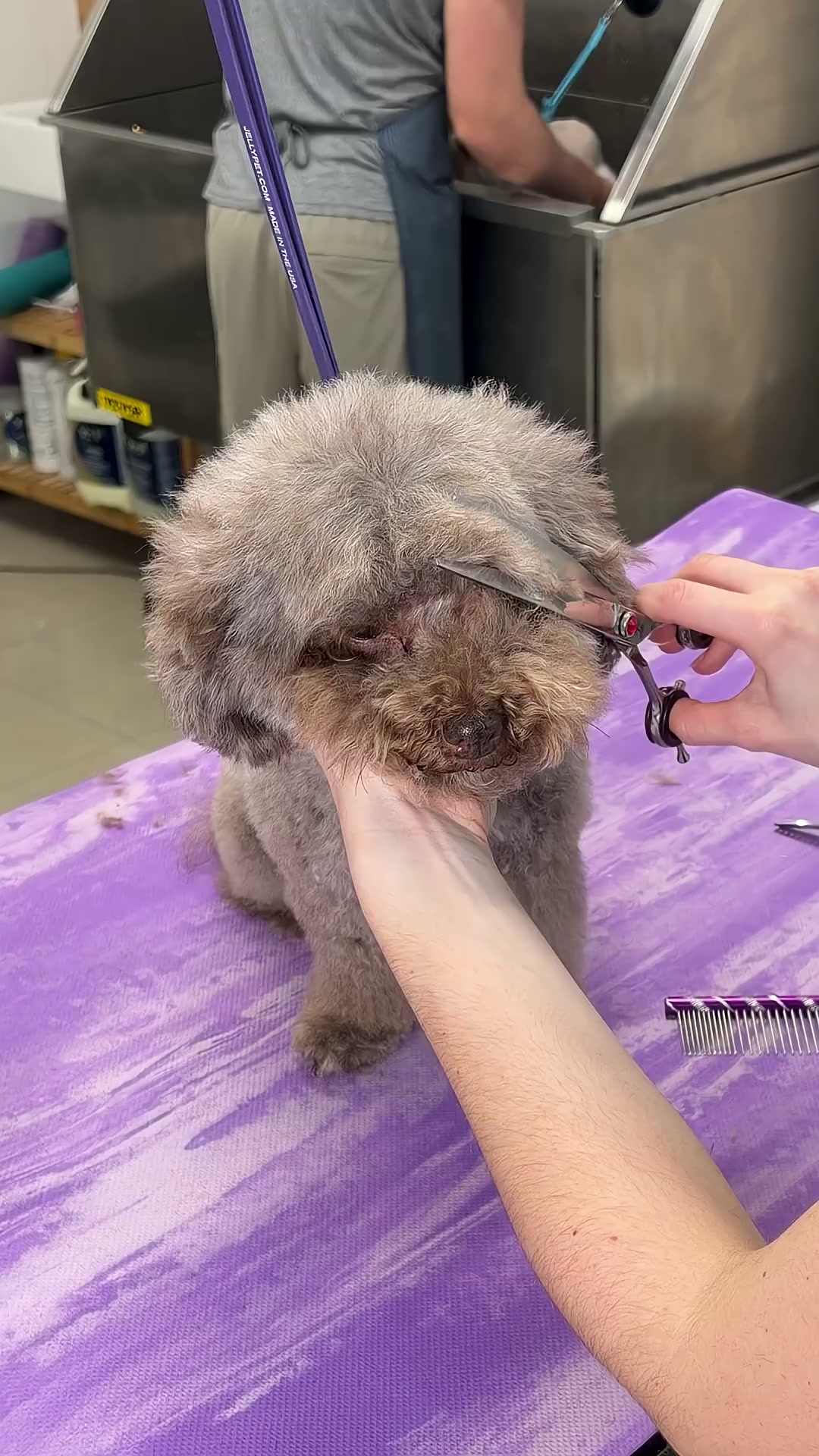 Always a good time with Lady Nisa