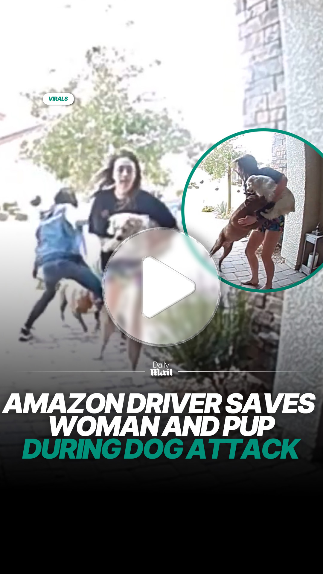 Amazon driver steps in to protect woman and dog from aggressive animal