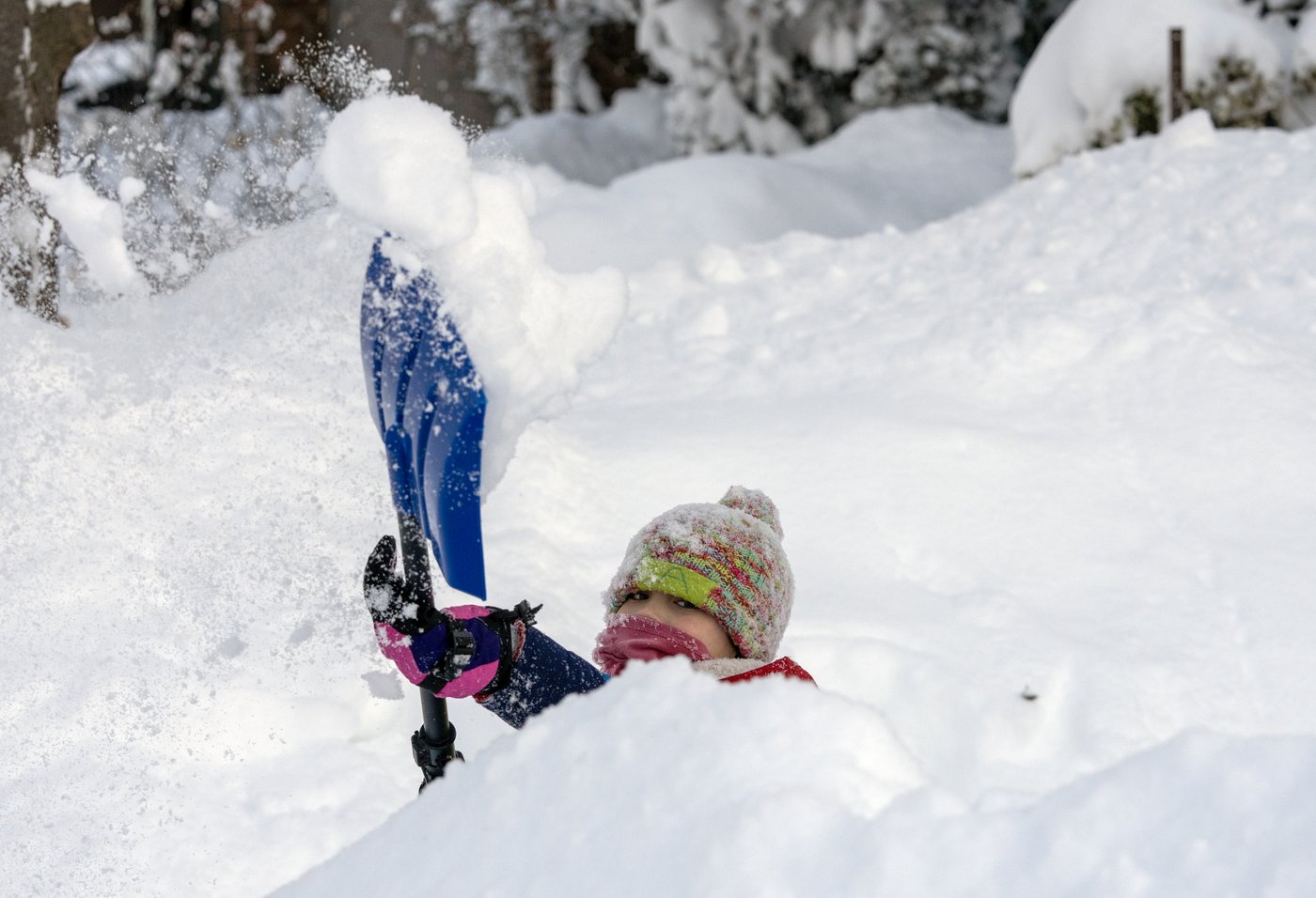 Toronto crews working to remove snow from streets, starting with ...