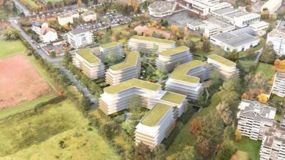 « Des espèces protégées vont être détruites » : la colère monte contre ...