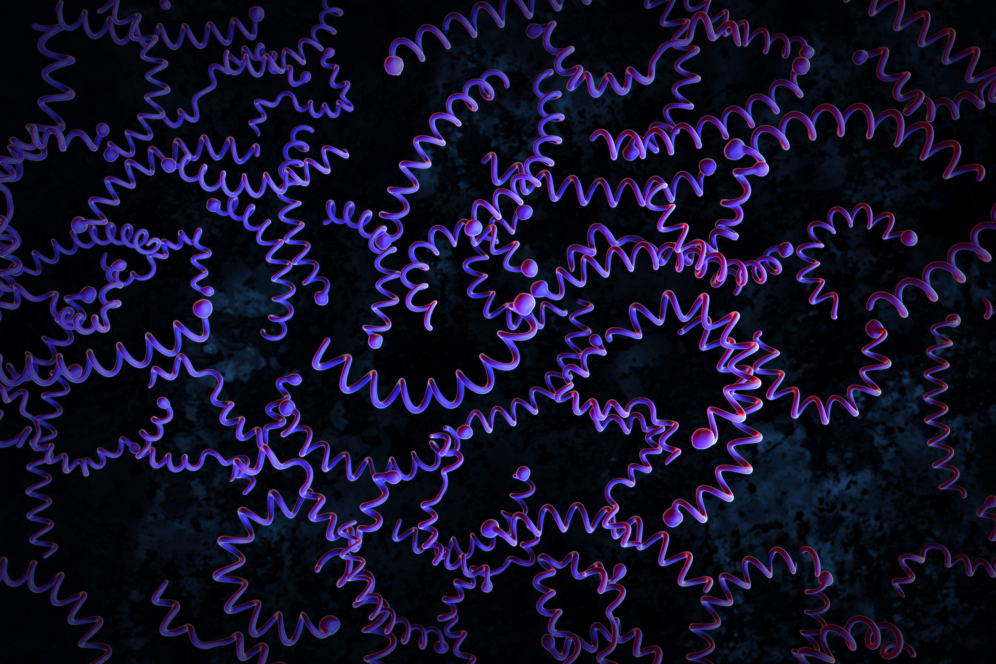 Anthropologists recover DNA of syphilis-causing bacterium relative from ...