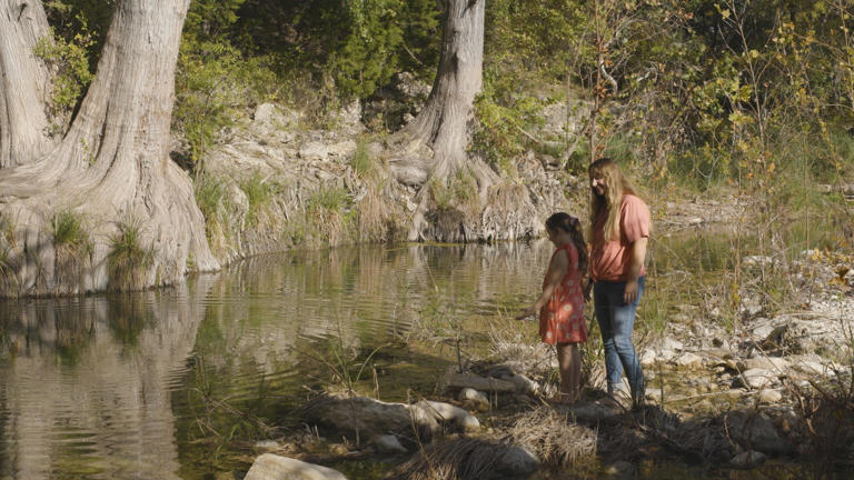 Amid the AI-driven boom in energy demand, rural Texans fight a high ...