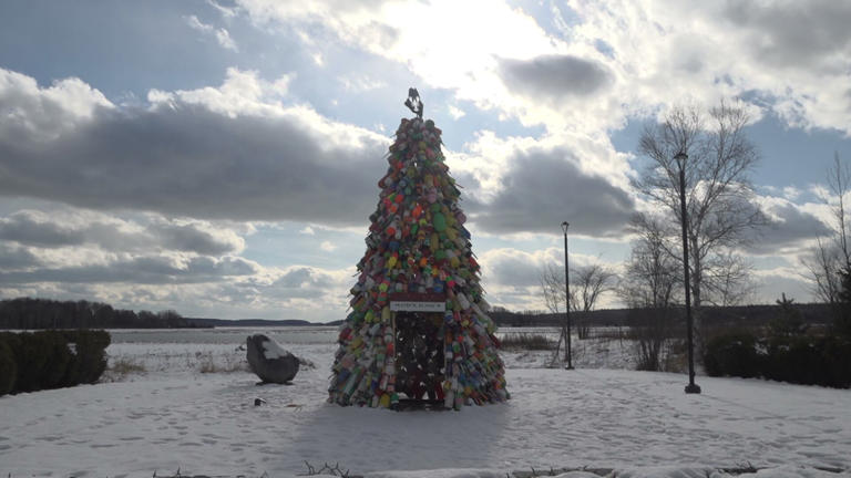 World’s tallest buoy tree symbolizes Downeast community care after ...