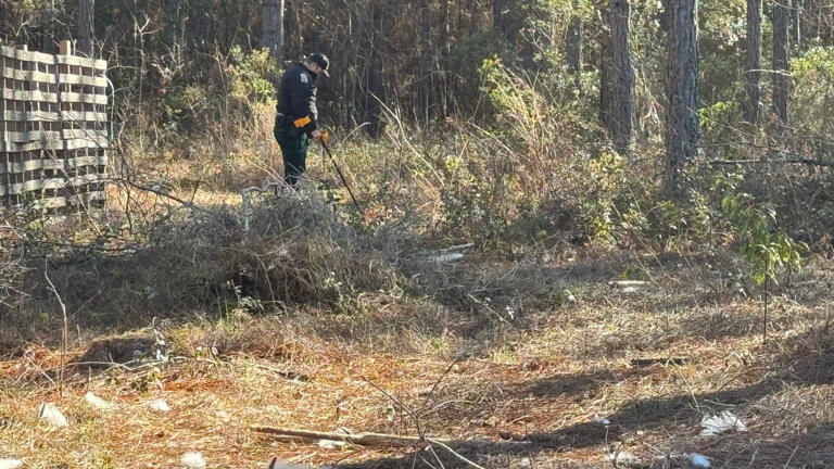 Animals killed at Tifton wildlife rehab after fence breached; owner ...