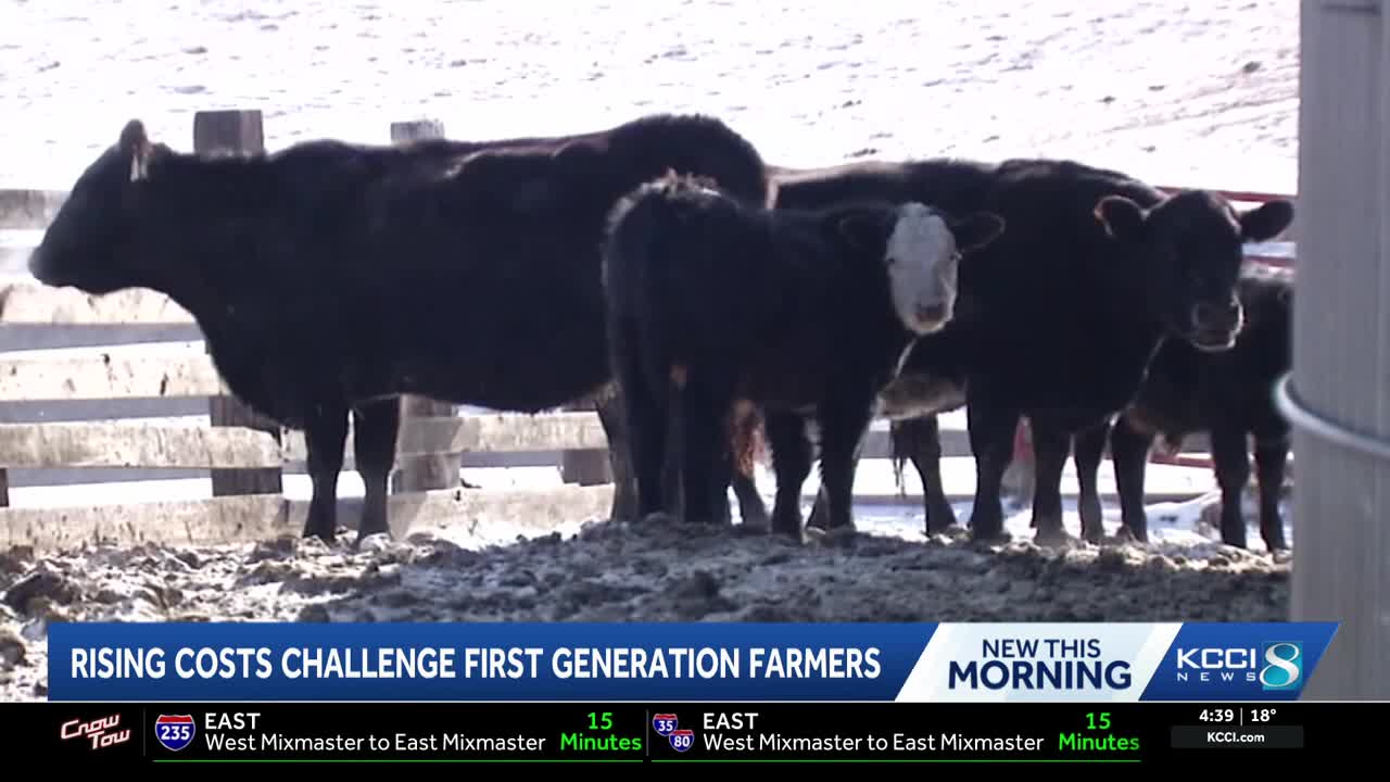New Iowa farmers struggle to grow due to rising costs, record-low ...