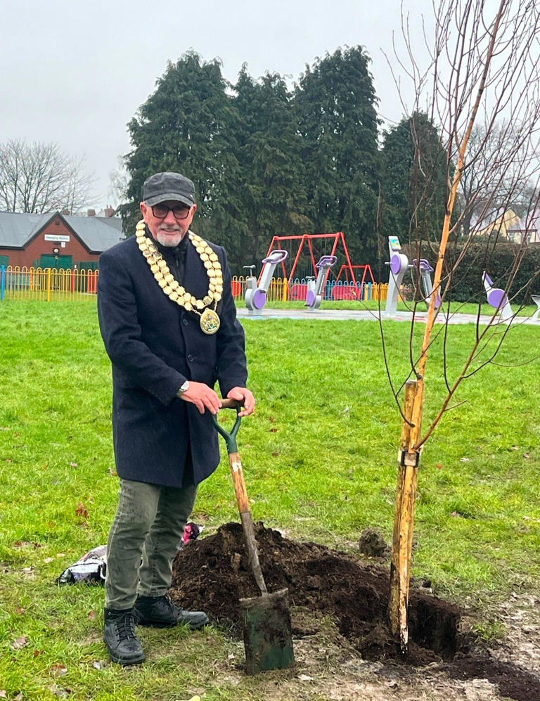 Holocaust Memorial Avenue extended with new tree planting at Alfreton Park