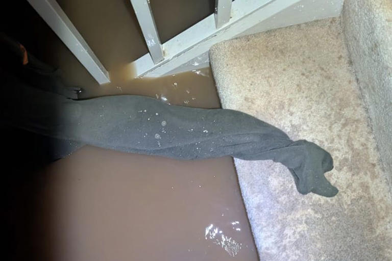 "It was horrendous": Man and dog's dramatic bedroom-window flood escape