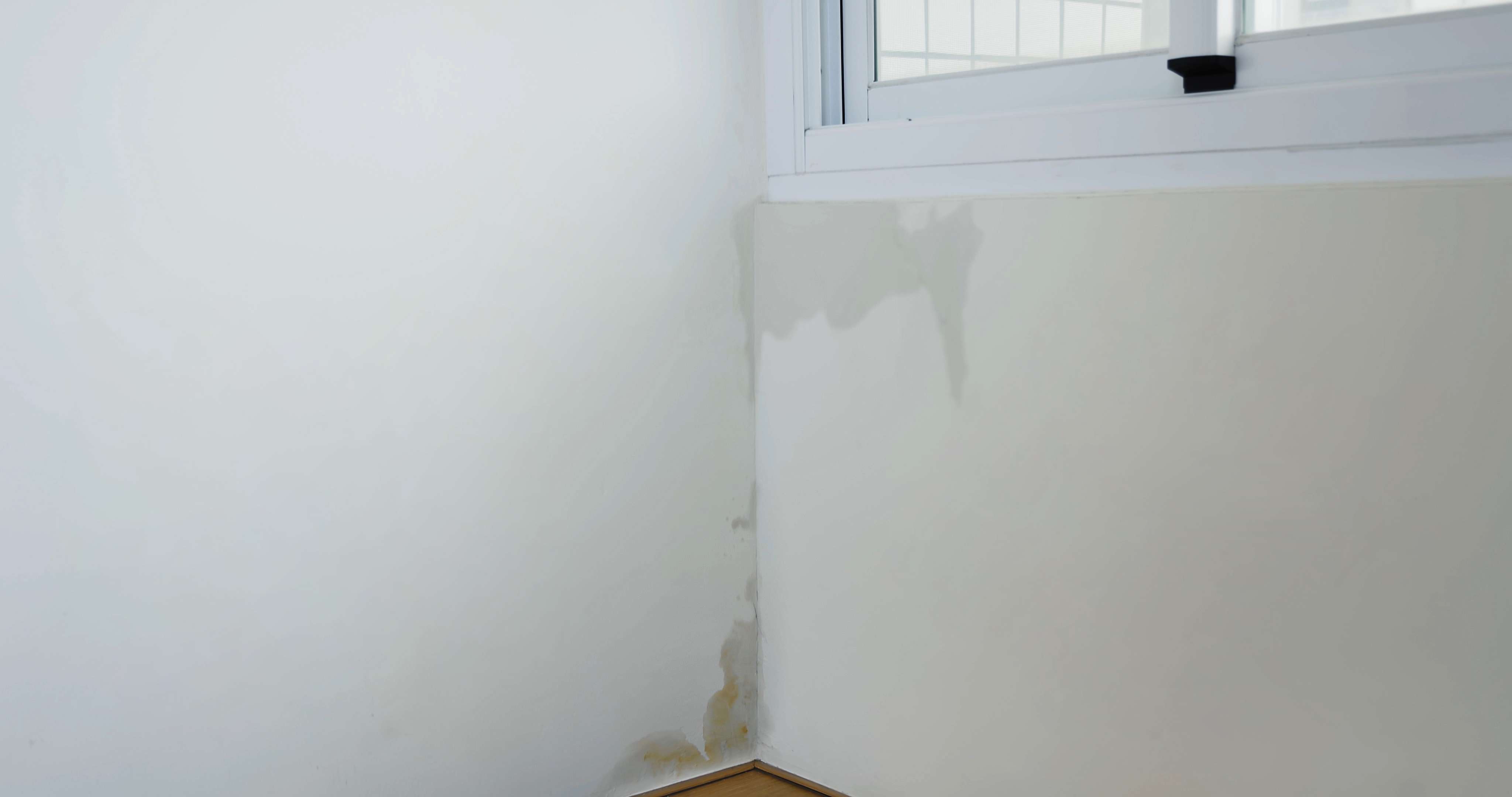 How to paint over water stains and stop them from coming back