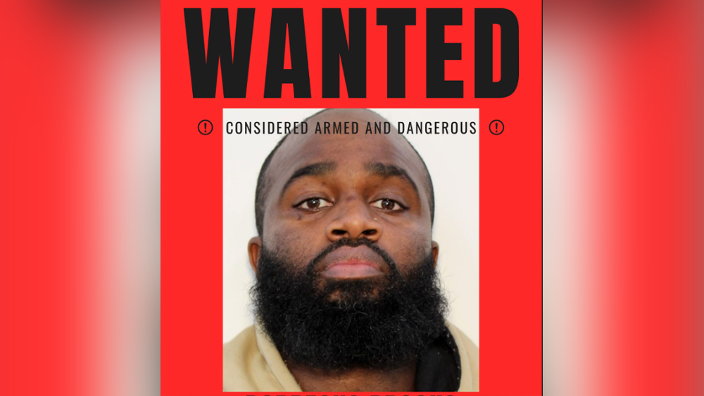 Update: Police in Georgia capture 'armed and dangerous' man after ...