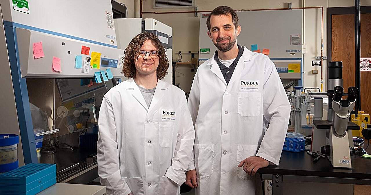 New therapeutic target for breast cancer involves double-stranded RNA ...