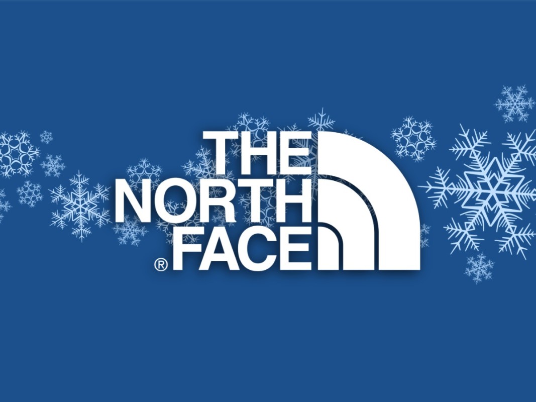 The North Face’s $110 Fleece Jacket Comes in 6 Colors & Is Now Just $55