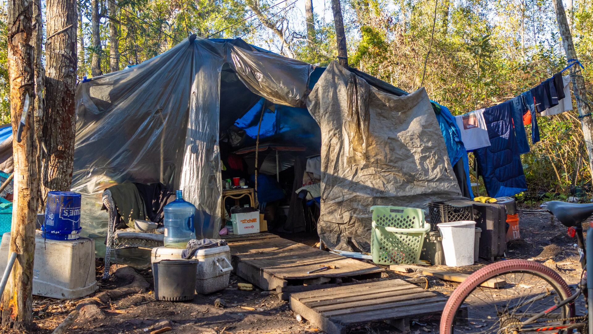 Arctic blast brings freezing temperatures to Central Florida during ...