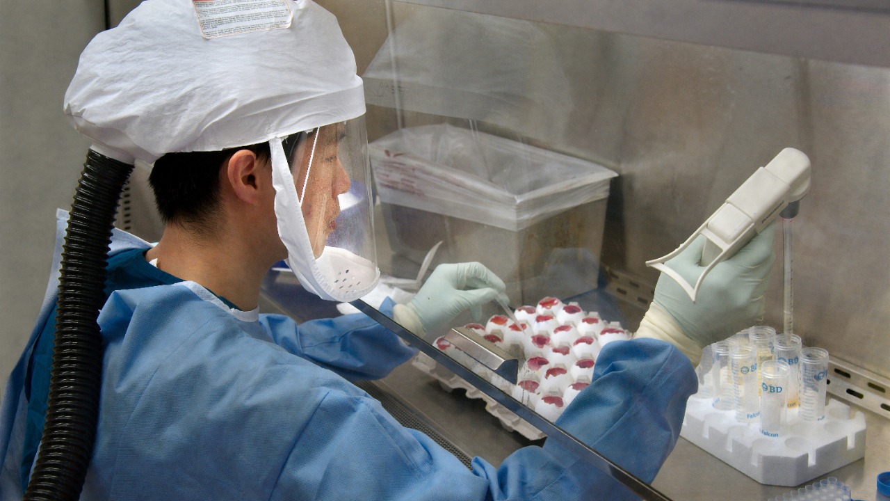 Gene editing breakthrough could kill off daily cholesterol pills