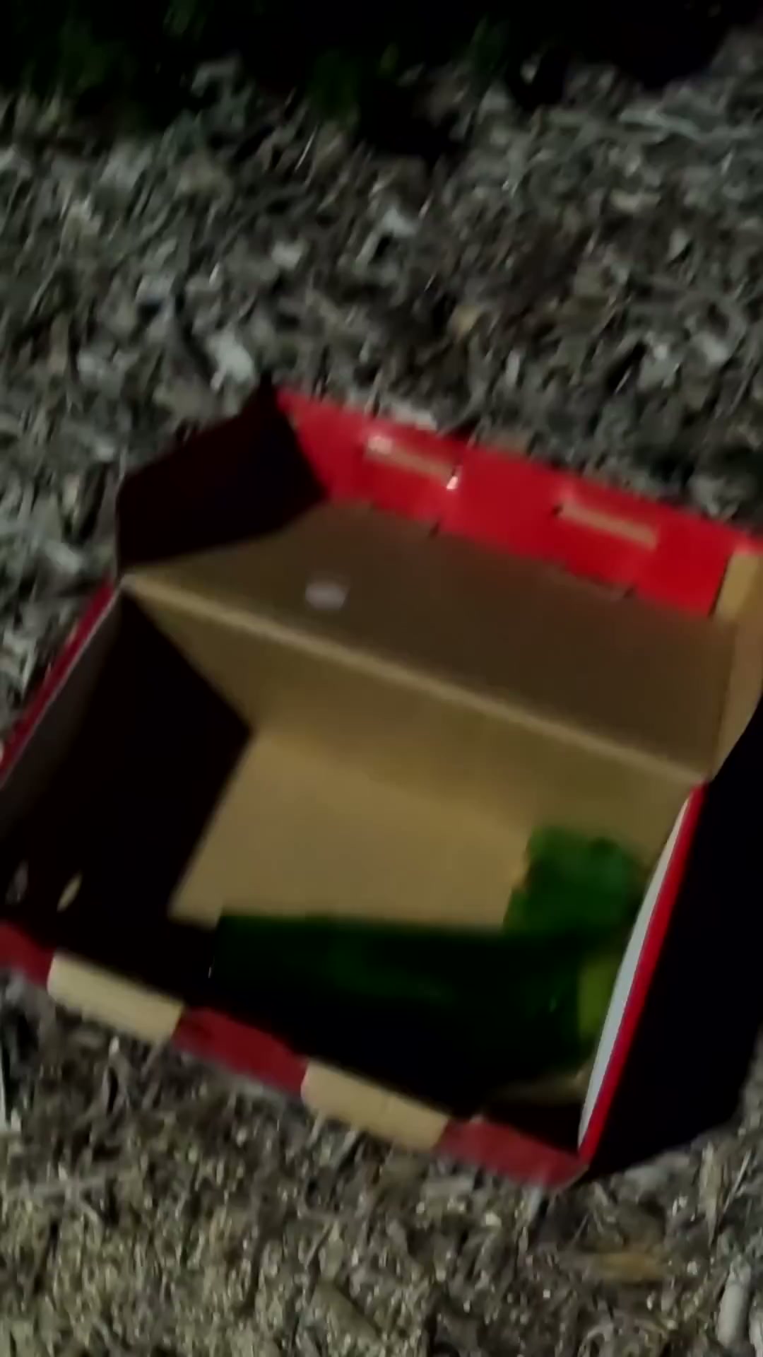 Can you see the mouse in my house? #shorts