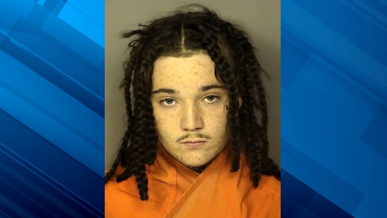 Man gets 20 years in prison after shooting at officers during Myrtle ...