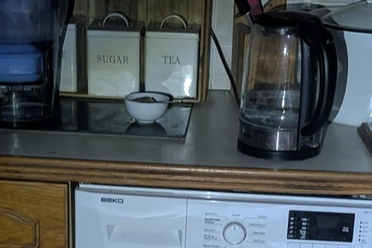 "It was horrendous": Man and dog's dramatic bedroom-window flood escape