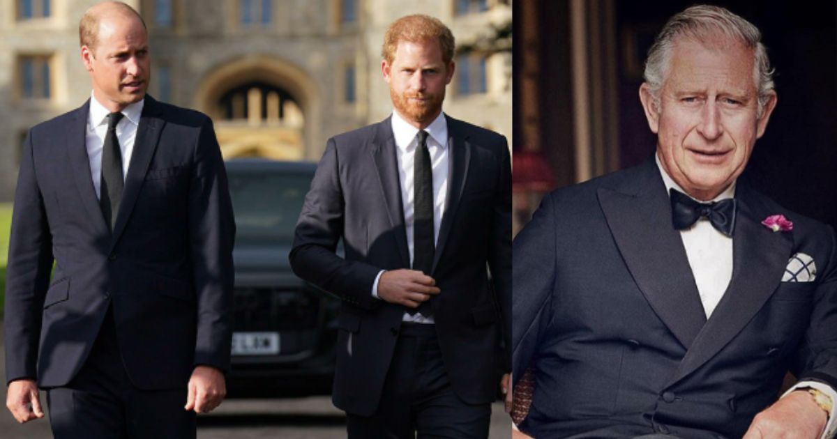Royal insider reveals King Charles labels Prince William and Prince ...