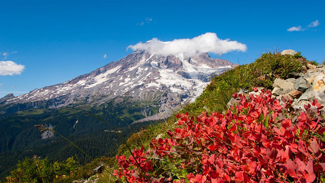 WA park officials cancel timed entry to Mount Rainier National Park