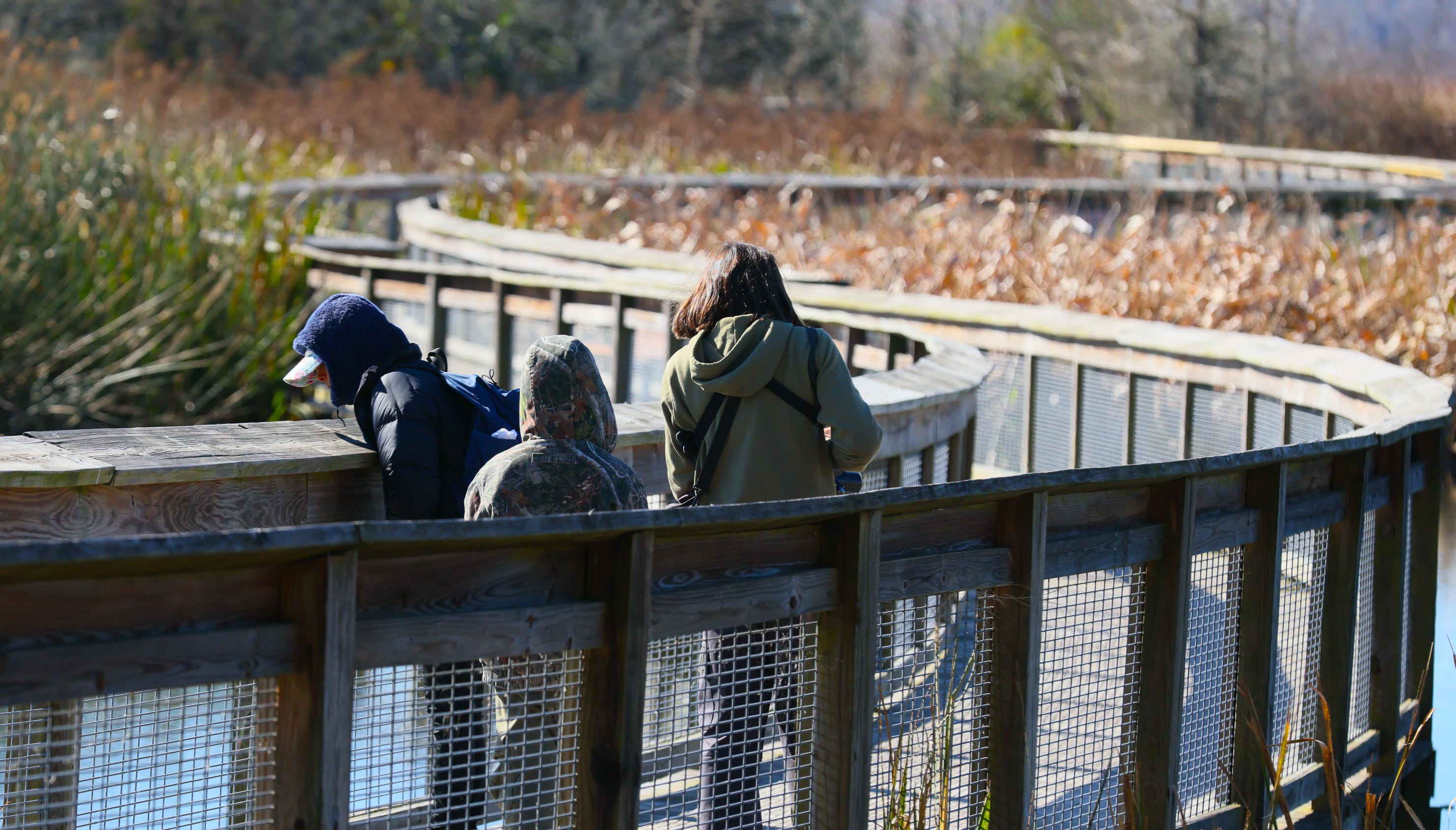 Arctic blast triggers freeze warning, cold night shelters in Gainesville